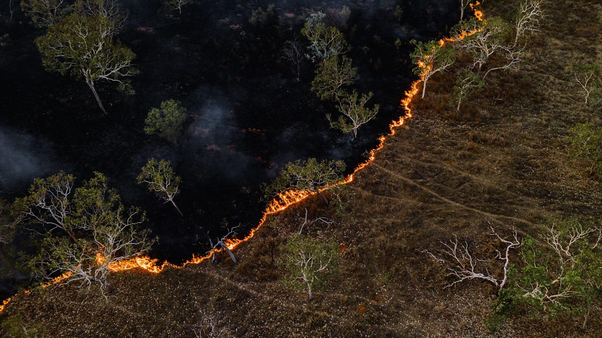 Technology’s Role in Fighting Wildfires: Can Innovations Make a ...