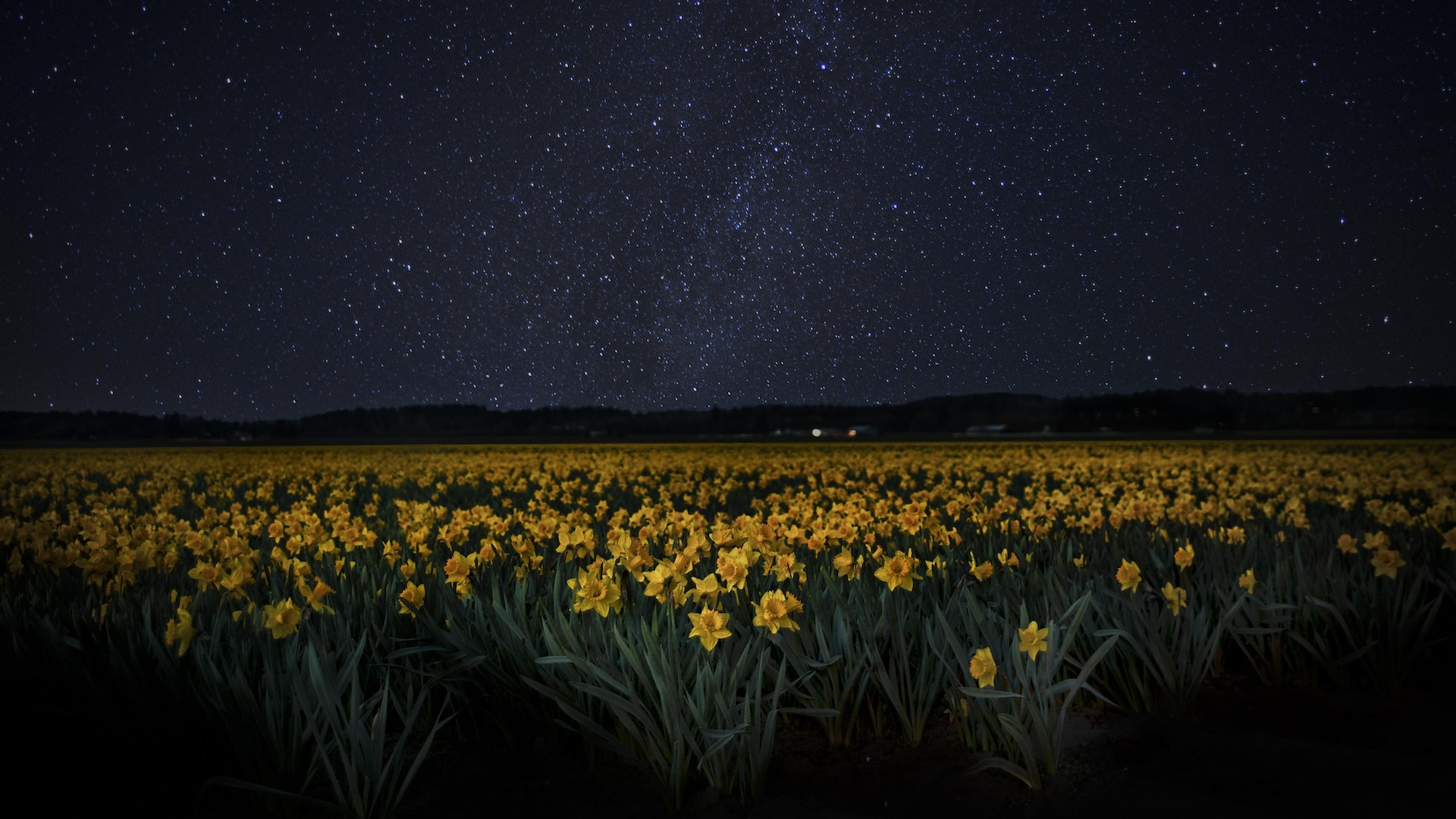 What to See in the Night Sky This May: Constellations, Planets, and ...