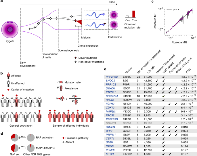 Identifying Genetic Drivers of Clonal Expansion in Male Germ Cells That ...
