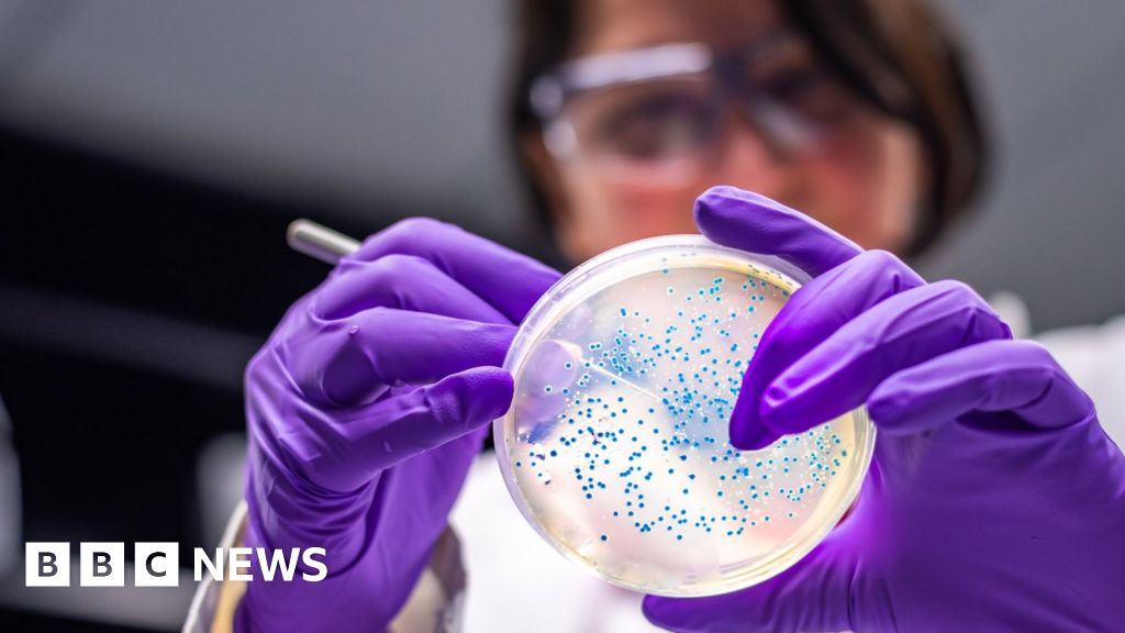 Genetically Engineered E. coli Turns Plastic Waste Into Painkillers ...