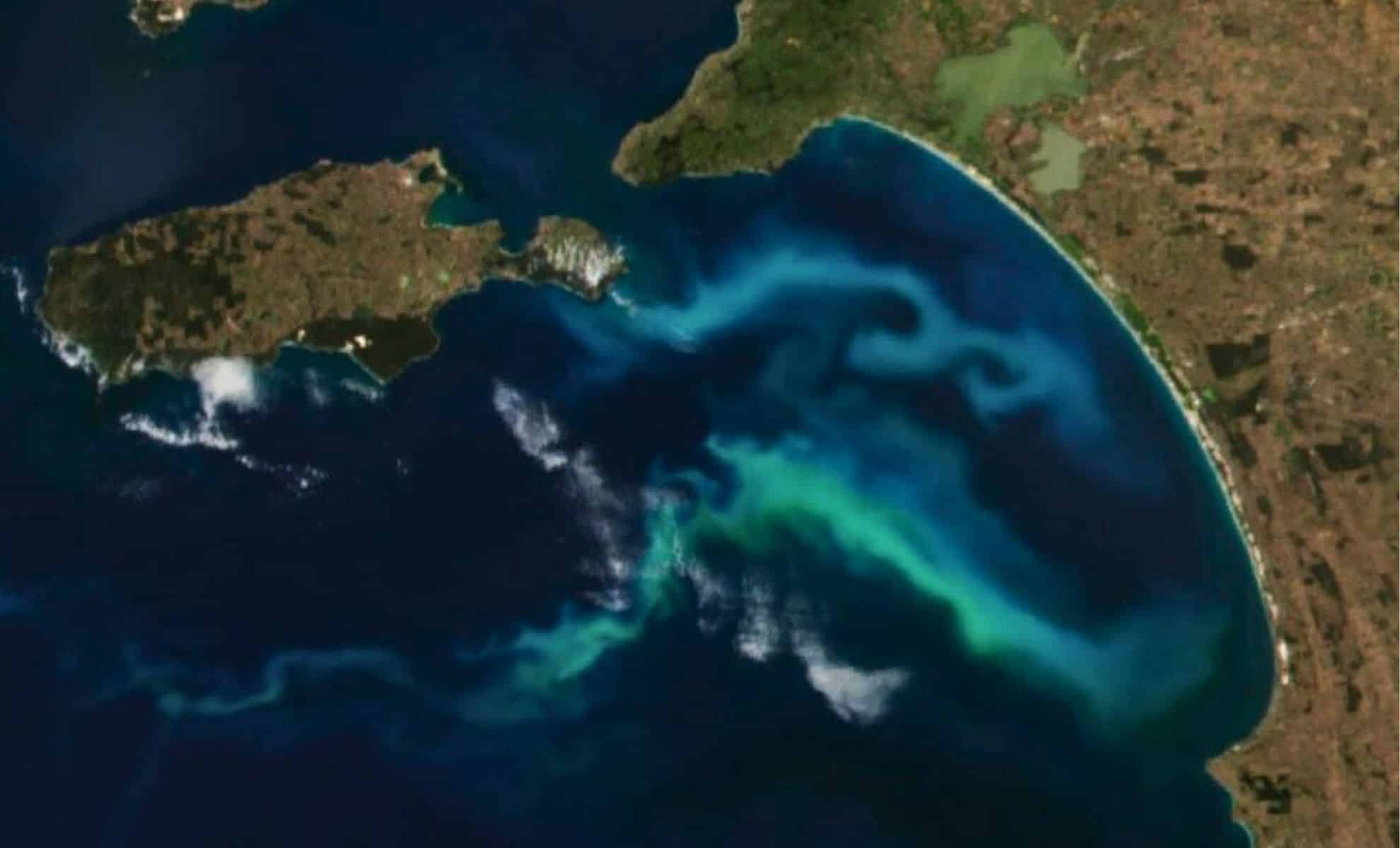 NASA Observes Large-Scale Phytoplankton Bloom Visible from Space off ...