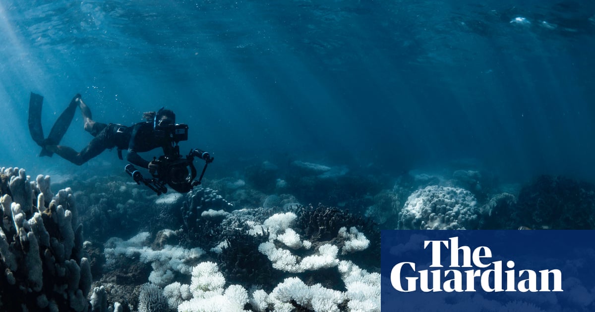 Oceans Face Critical Health Crisis as Acidity Levels Reach Dangerous ...