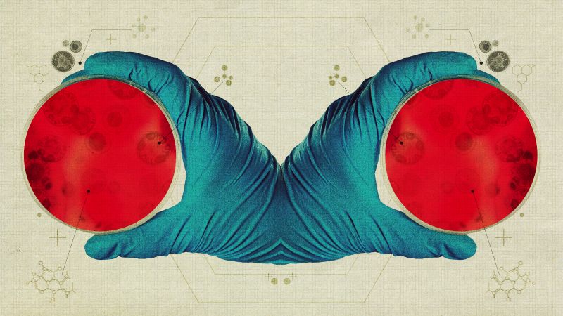 Scientists Warn of Risks Posed by Potential Mirror-Image Life Forms ...