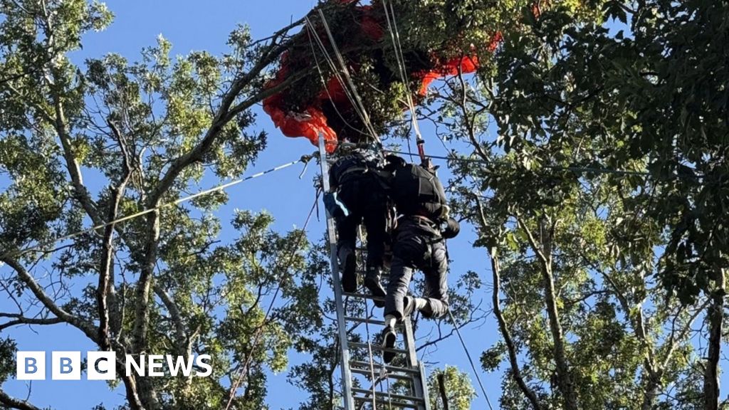Skydiving Instructor Dies in Nashville After Separation from Parachute ...