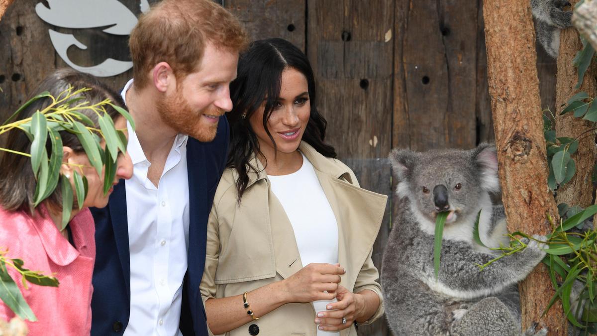 Prince Harry and Meghan announce private and business trip to Australia ...