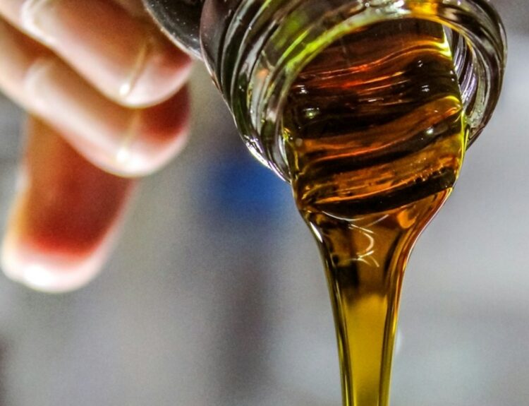 Cooking Oils: Understanding Their Impact on Cholesterol and Health ...