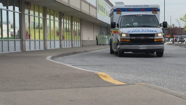 18-year-old charged with first-degree murder in fatal Windsor stabbing ...
