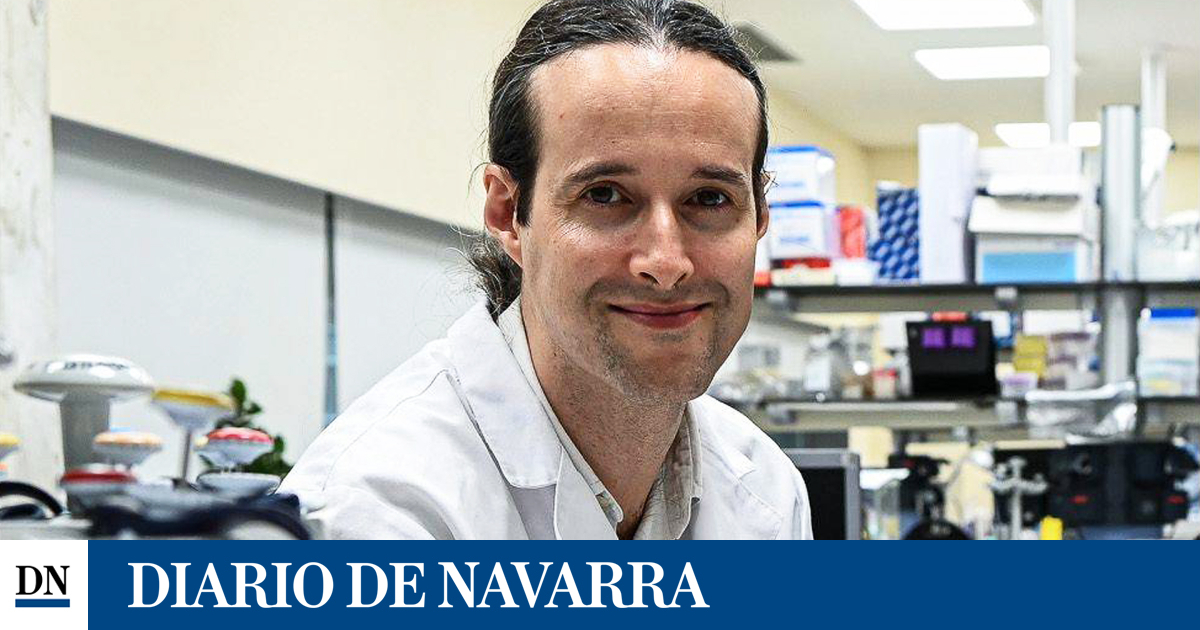 Descubren la ‘caja negra’ del cáncer: un avance en la comprensión de su ...